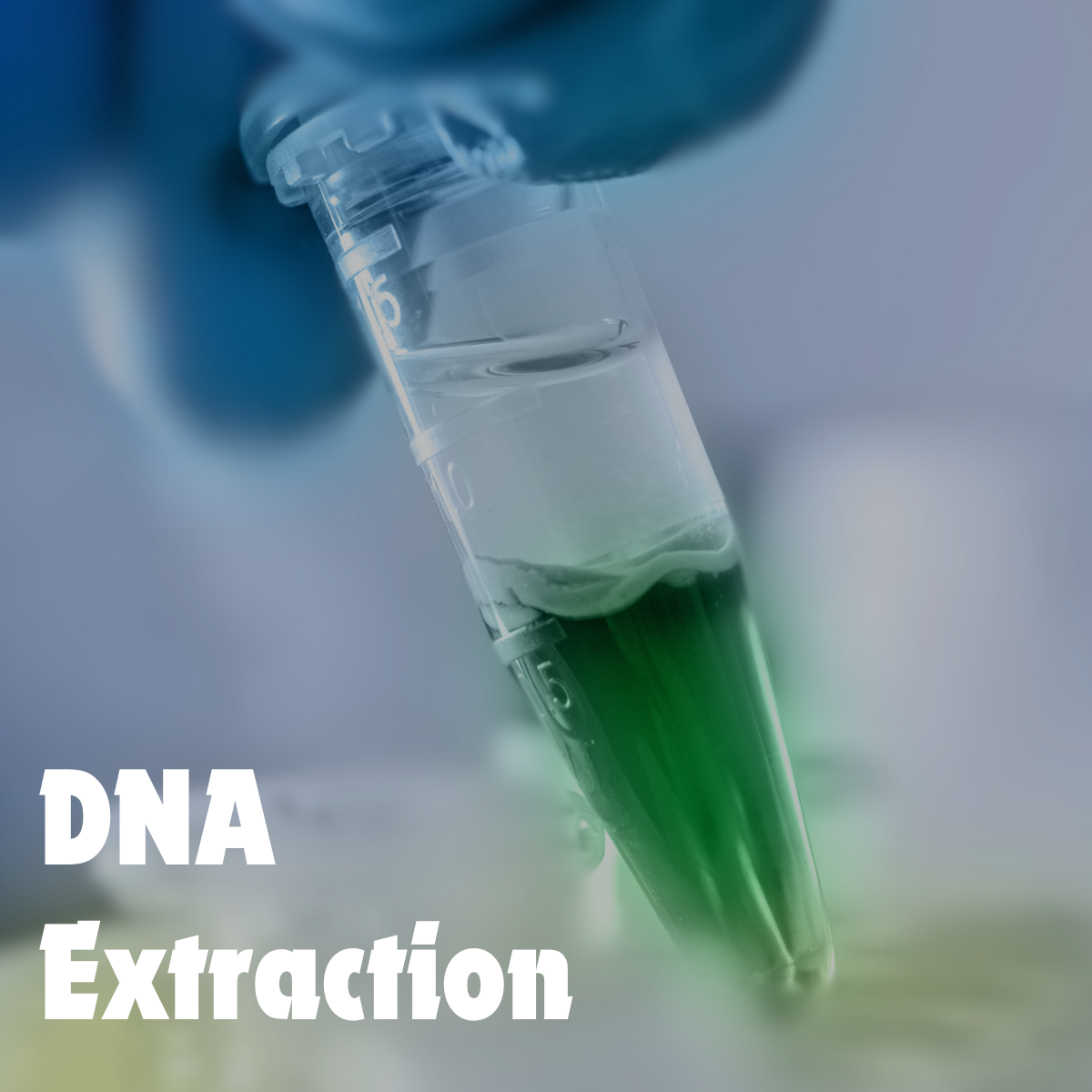 Silica column- vs. magnetic bead-based DNA extraction