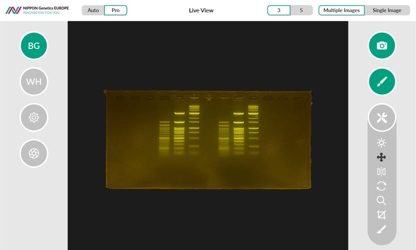 NEW Gel Documentation System - BRAND NEW