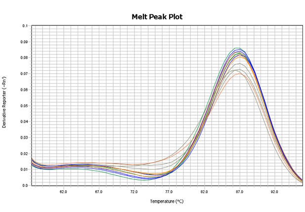 Understanding Melting Curve (MC) analysis in qPCR