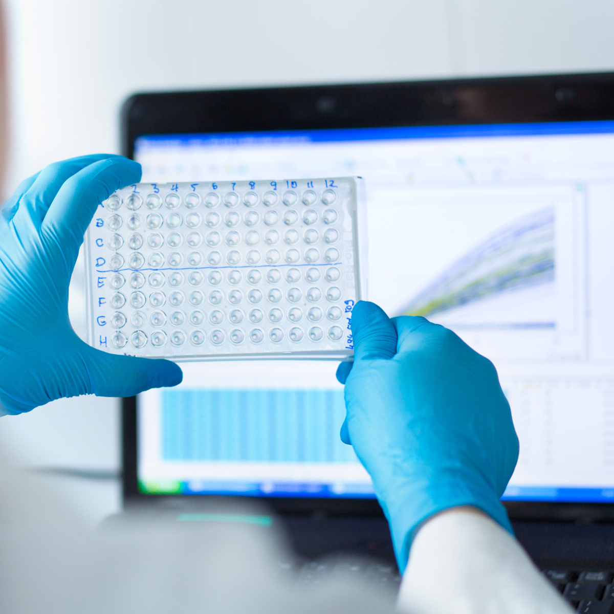 ROX dye: an independent reference in qPCR